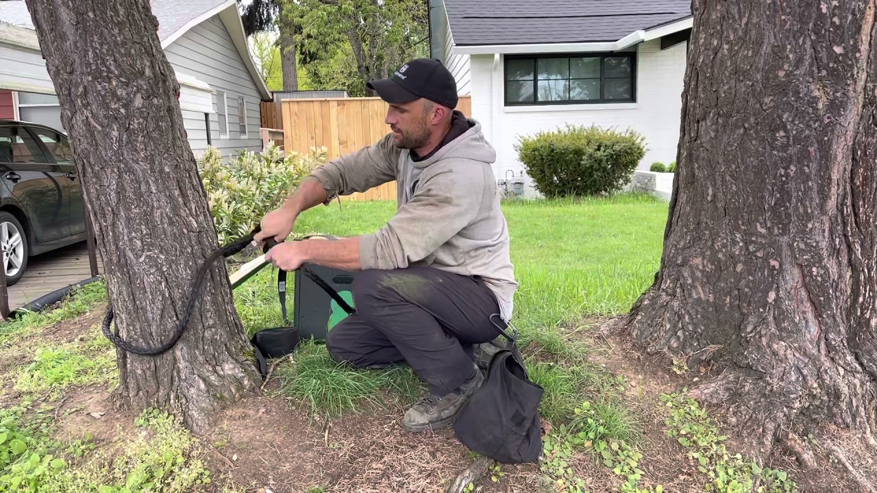 COBRA Tree Cabling System: Arborists Choice Award