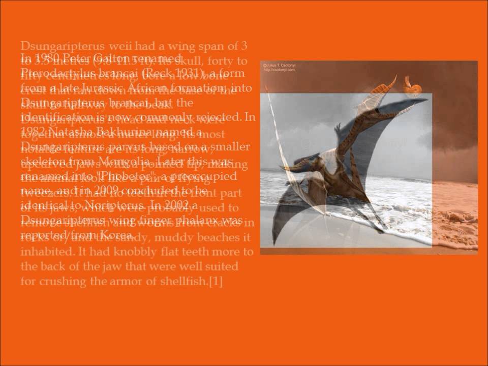 Dsungaripterus PowerPoint