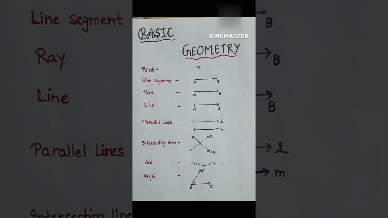 Basic Geometrical Ideas 📏📏