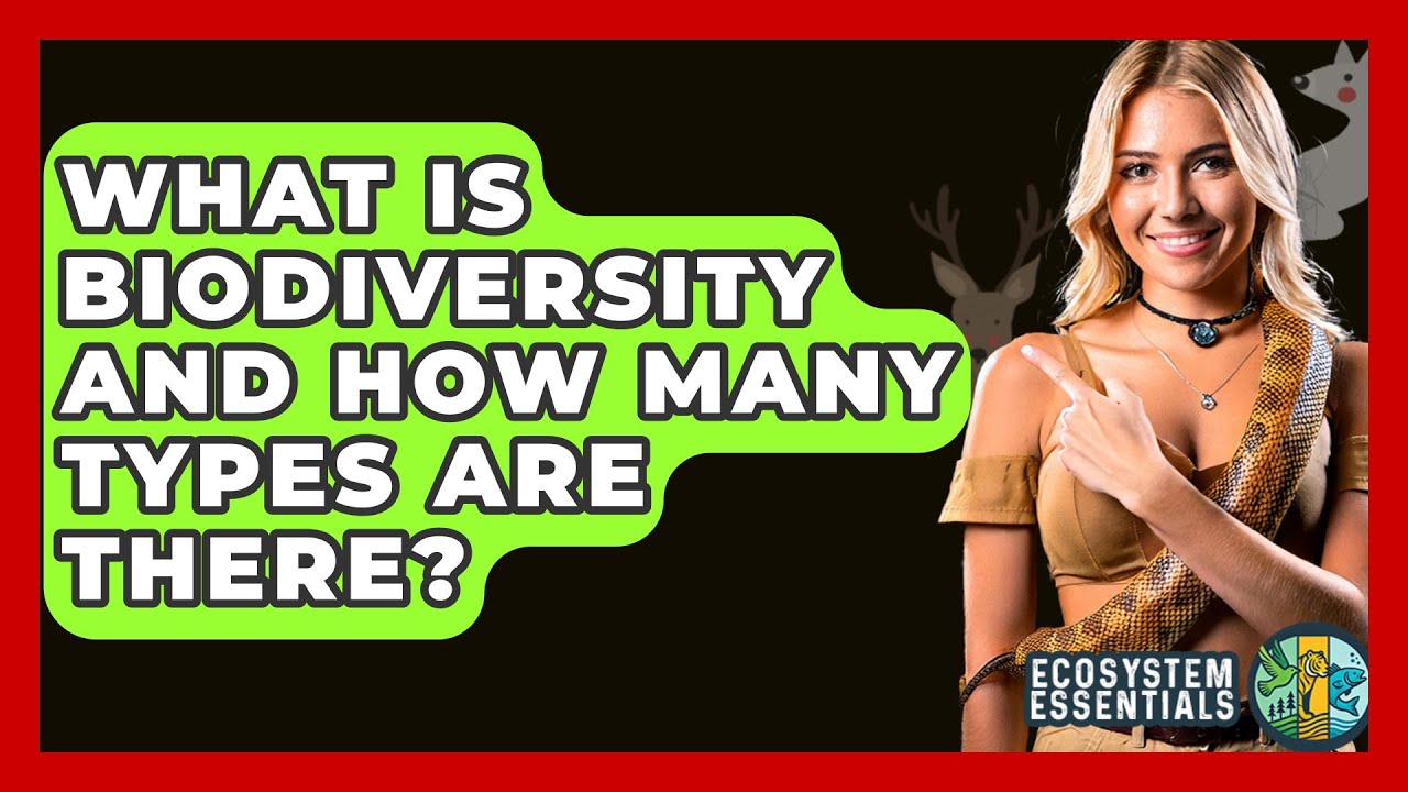 What Is Biodiversity And How Many Types Are There? - Ecosystem Essentials