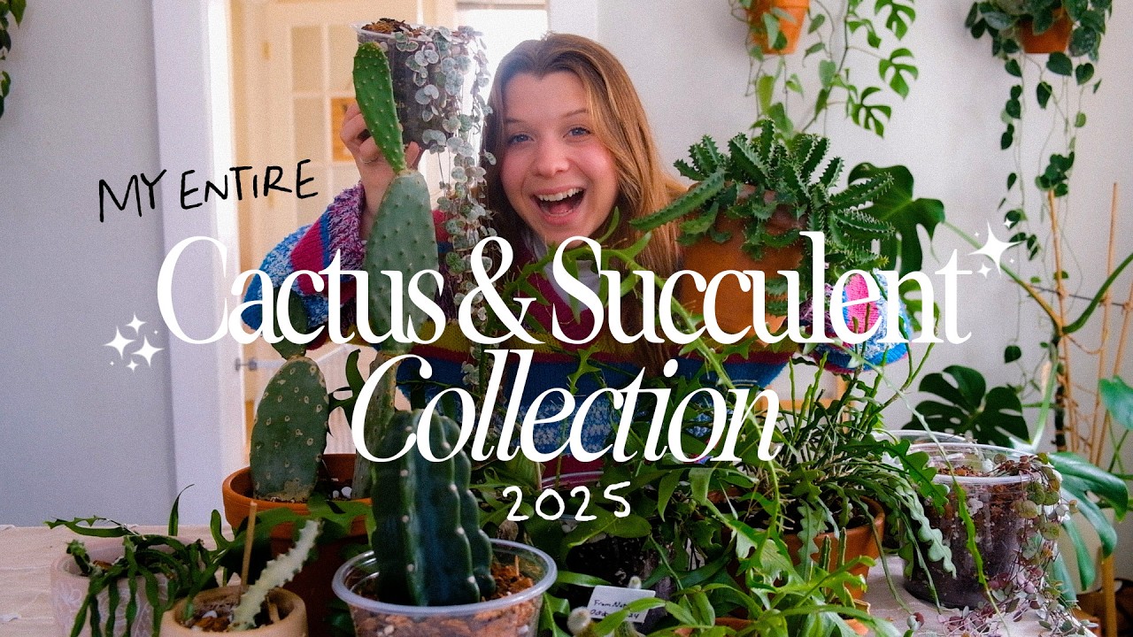 my CACTUS & SUCCULENT collection 🌵 including jungle cacti, string of hearts, euphorbia, & more! 2025