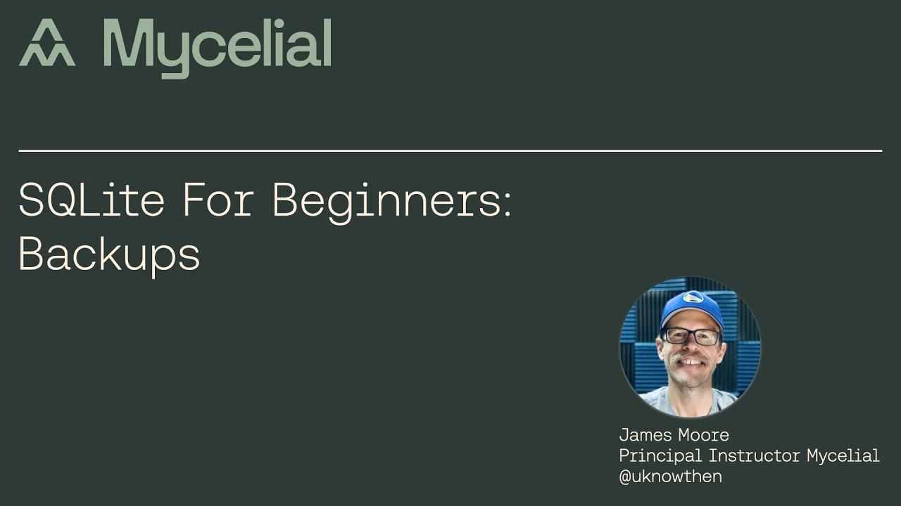 SQLite for Beginners: Database Backups