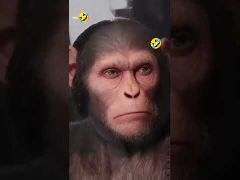 #funny monkey face #trendshort ##funny #modi #try this face ## #2025trending