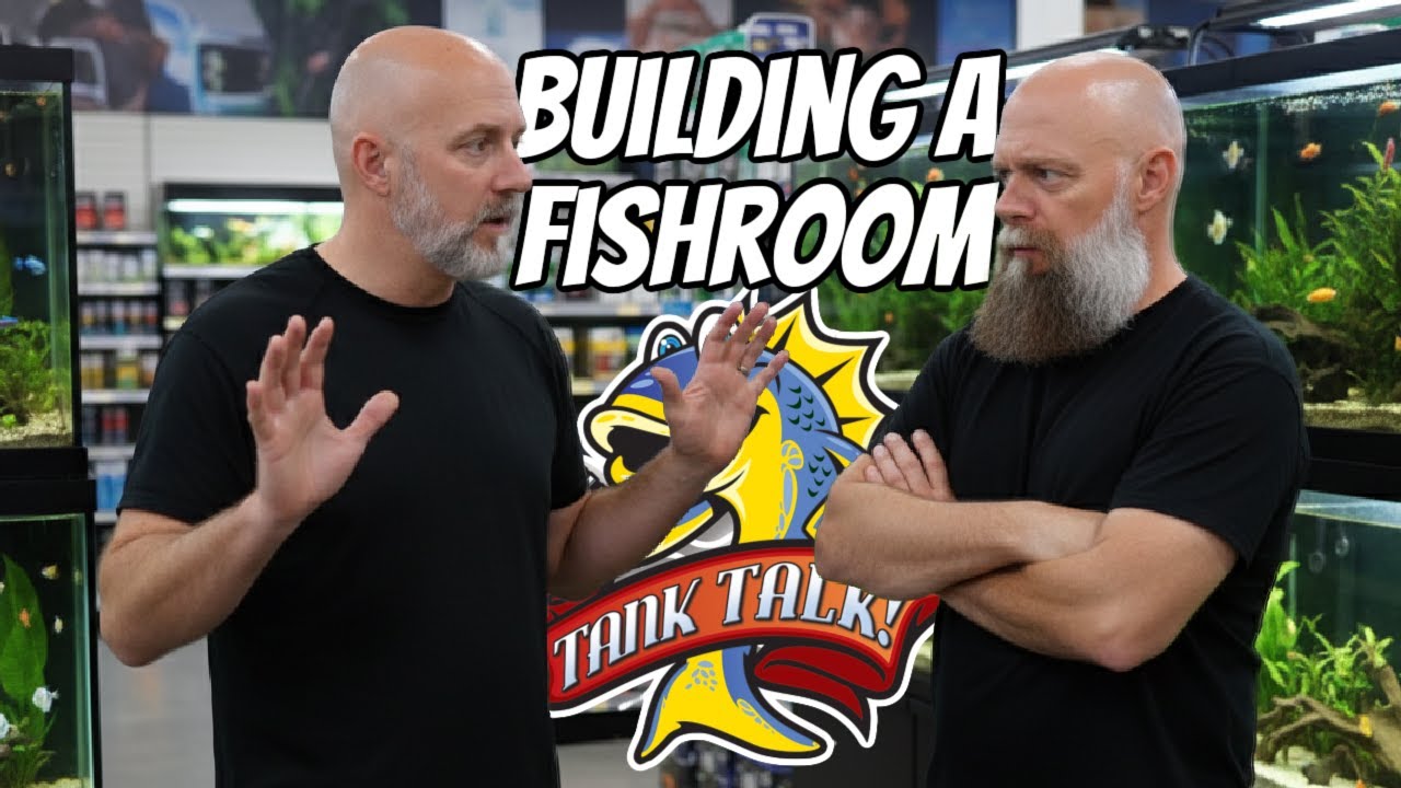 Our Best Advice For Building A Fish Room