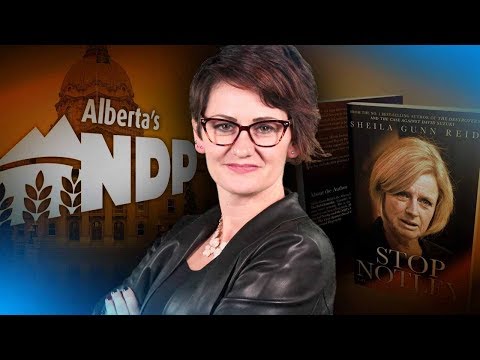 PLEASE HELP ME: I'm being prosecuted for writing a book criticizing the gov't | Sheila Gunn Reid