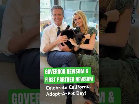 Governor & First Partner #Newsom Celebrate #California #AdoptAPetDay! #shorts #puppies #pets #dogs