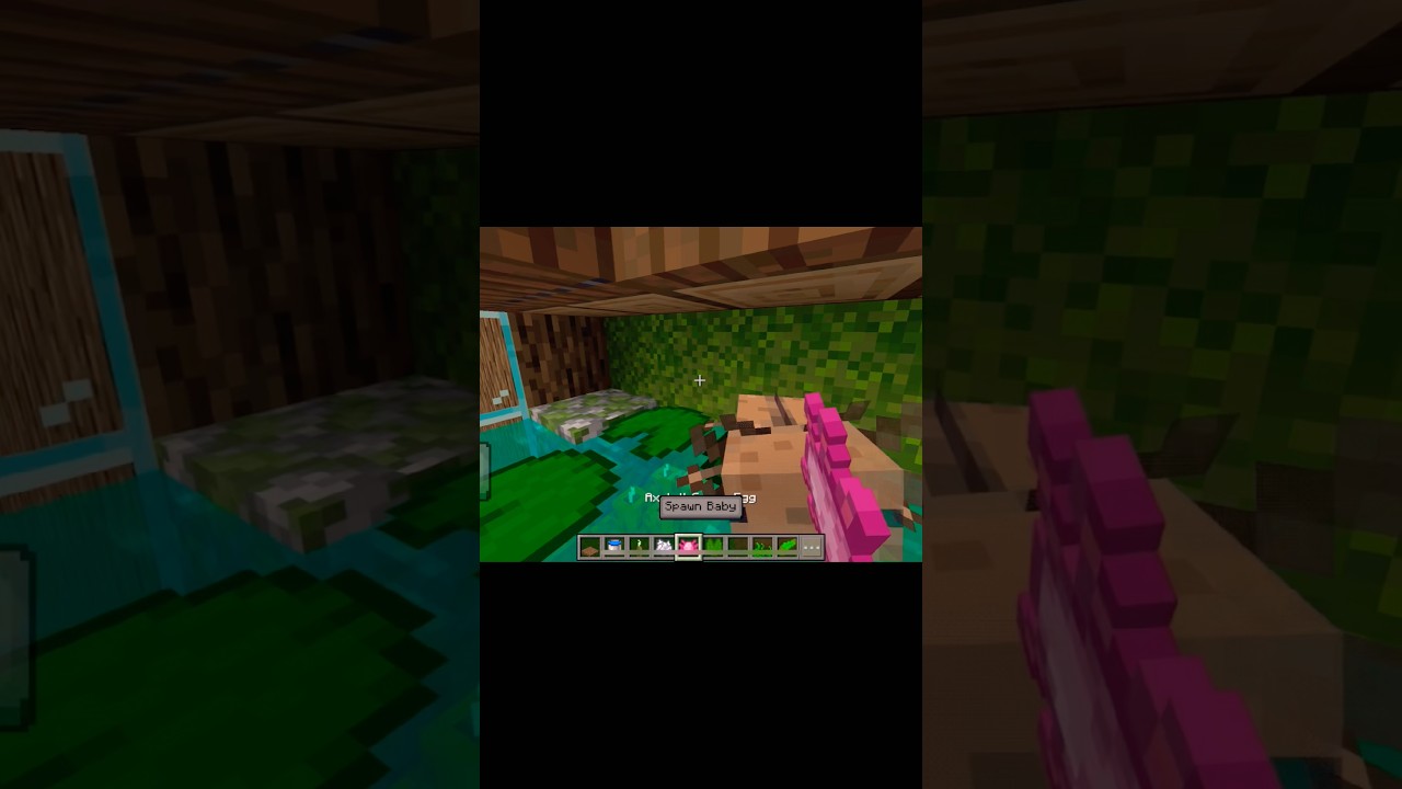 Cutest Aquarium For Axolotls | Minecraft | #shorts #minecraftbuilding