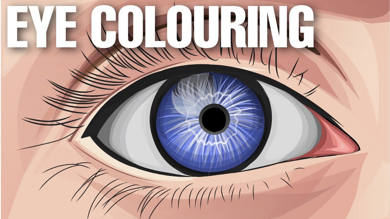 Eye colouring Step by step || Learn Vector Art
