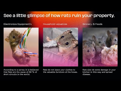 Manufacturer of 1500 SQ Ultrasonic Rat and Rodent Pest Repeller & 2500 ...