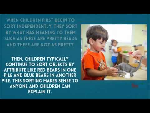 Using Classification Skills