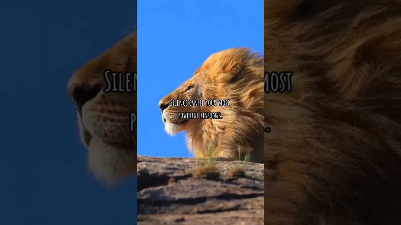 Power of silence #power #powerful #silent #lifestyle #life #motivation #quote