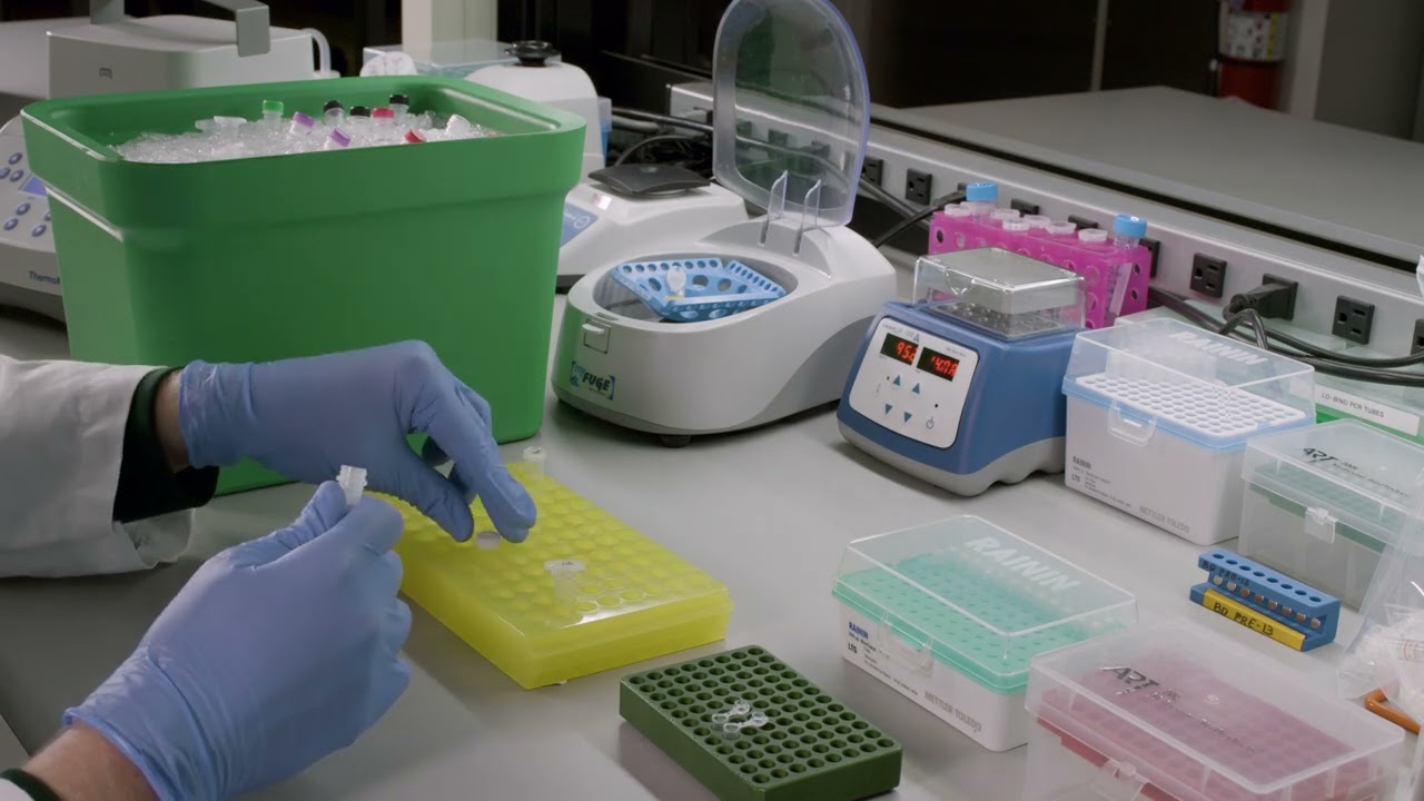 BD Rhapsody™ Single-Cell Analysis System - BD Rhapsody™ Whole Transcriptome Analysis Kit Workflow