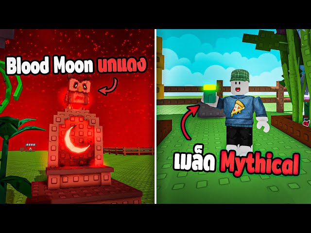 เกิด Blood Moon + ได้เมล็ด Mythical!! ใน Grow a Garden Roblox | วิดีโอค ...
