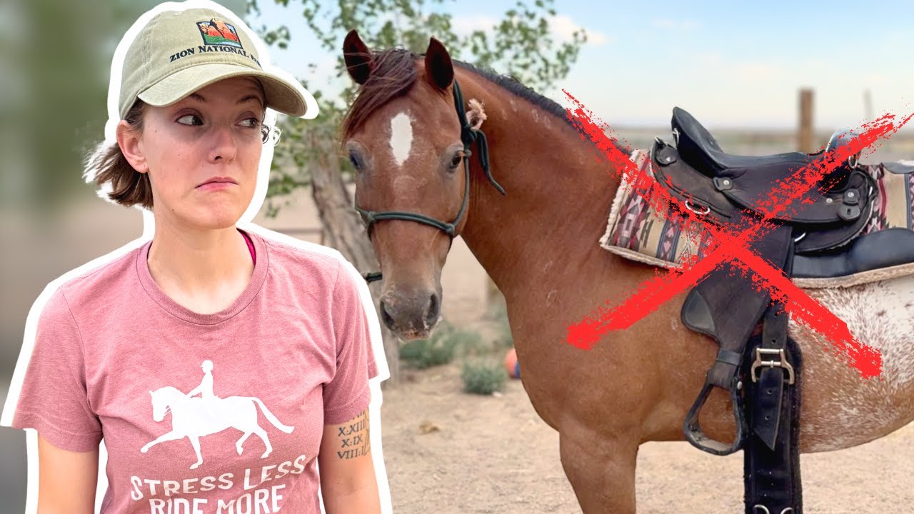 How To Tack Up A Horse Western