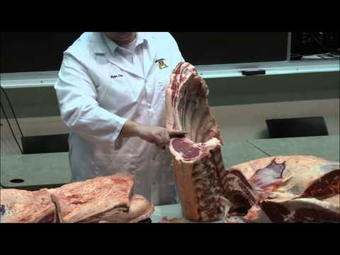 BEEF U 2014 Cuts of Beef Part 6 Beef Rib