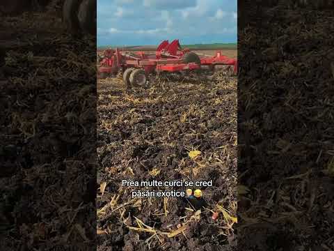 51 #modern agricultural machinery #modern agricultural technology #agricultural mechanization