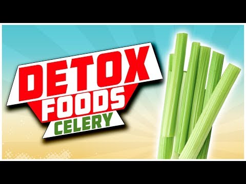 DETOX FOODS: CELERY | WARRIOR BODY SPA ATLANTA