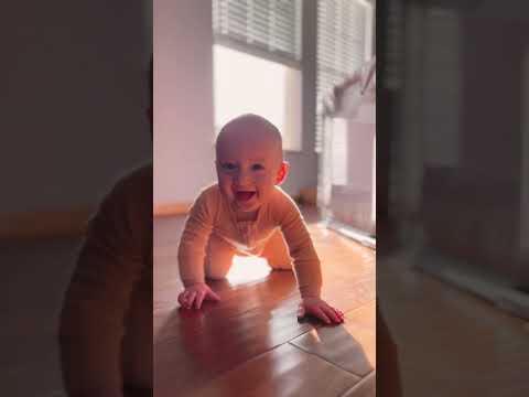 HE'S SUCH A HAPPY BABY ????❤️ #itsallknee #babyshorts #baby #trending #shorts #sahd #cutebaby #cute