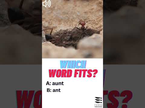 aunt or ant? (part 2)