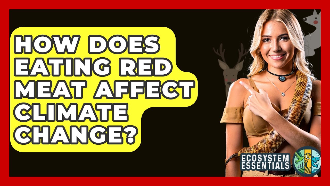 How Does Eating Red Meat Affect Climate Change? - Ecosystem Essentials