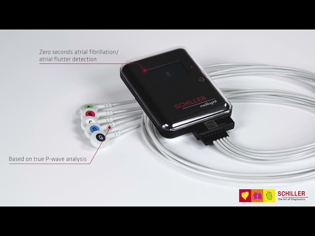 ECG and Holter Monitor - BPL Holter Monitor - 12 Channel Wholesaler ...