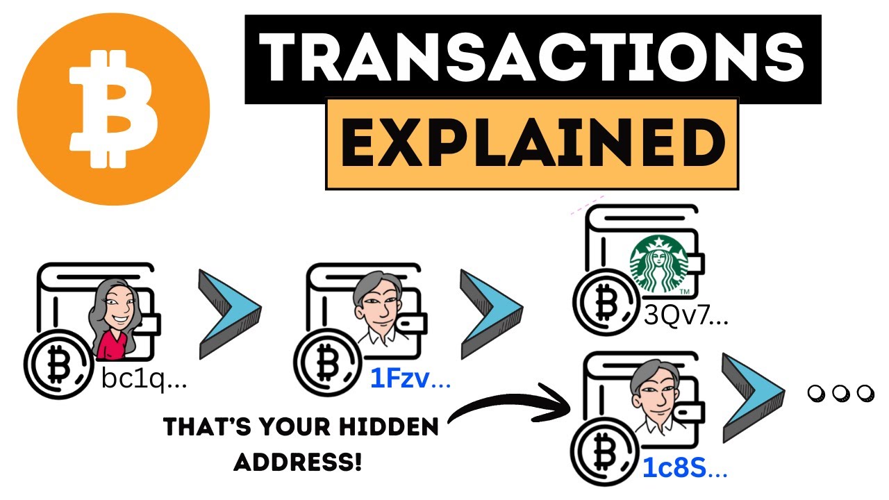 How to Read Bitcoin Transactions (Beginner Guide)