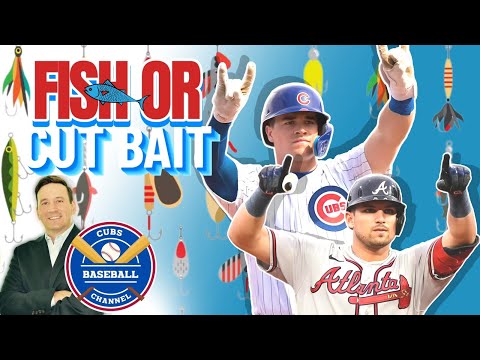 TRADE RUMOR? Riley over Shaw for 3B??? | Chicago Cubs Baseball Podcast