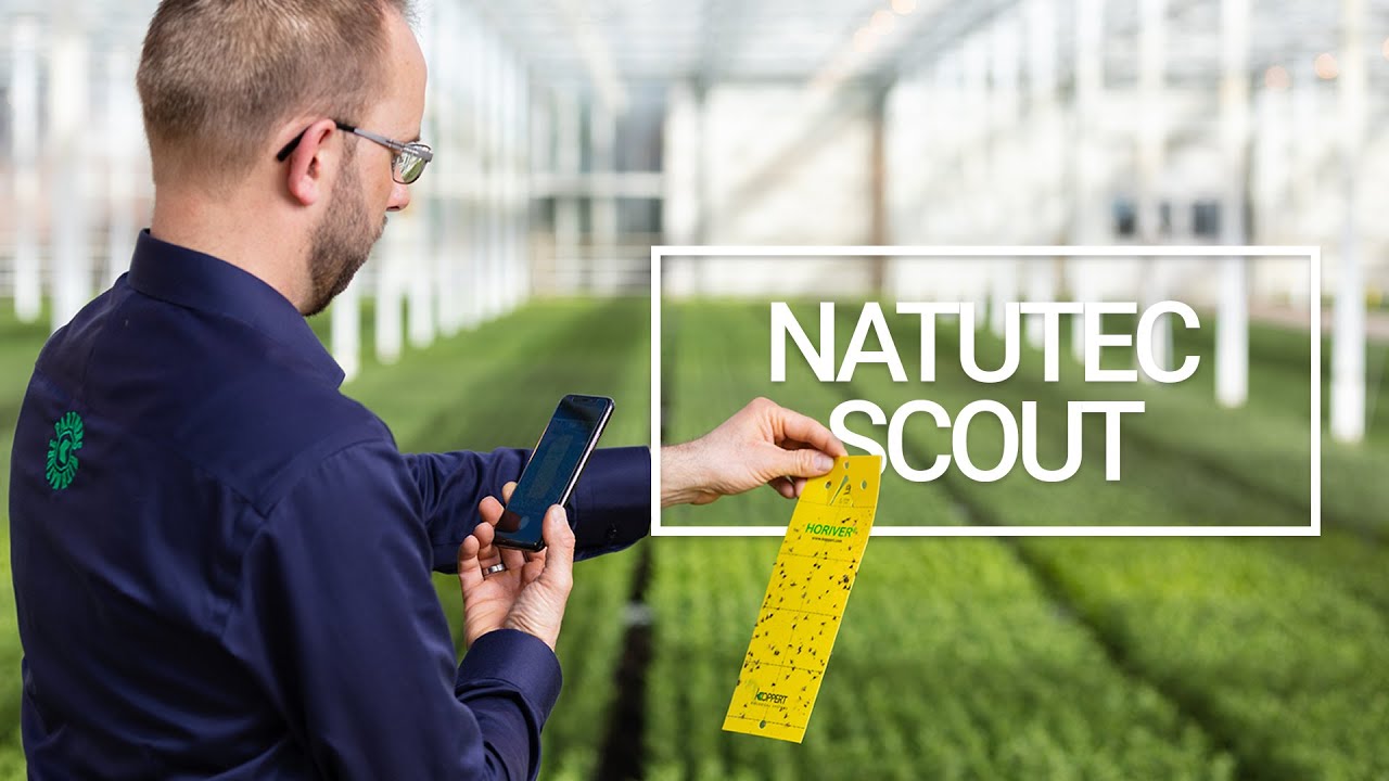 Natutec Scout | Koppert Products