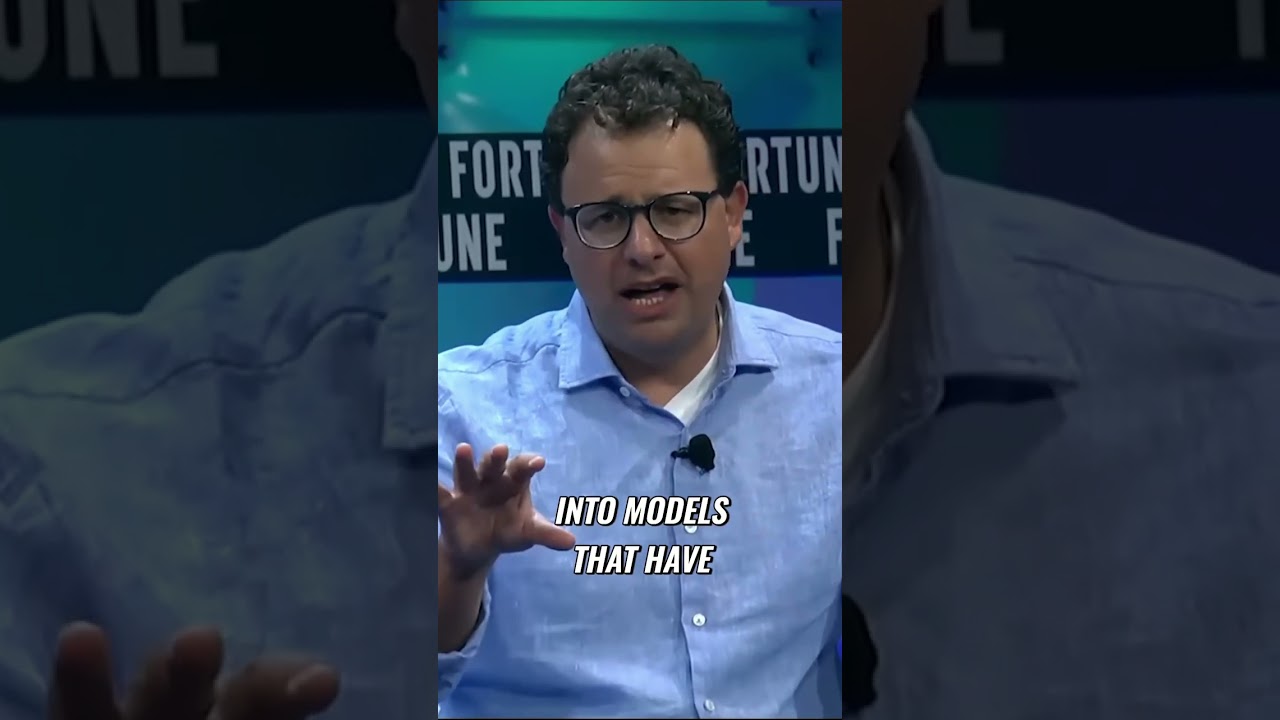 The Future of ML Models  The Medium Term Risks and Dangers