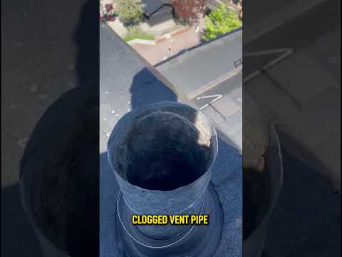 Reminder to check your vent pipes...