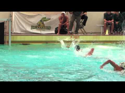 VIDEO: Poly vs. Edison, CIF Boys’ Water Polo – Press Telegram