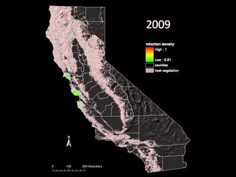 Center for Applied GIS: E4ANIM SingleRun Low 1990-2030
