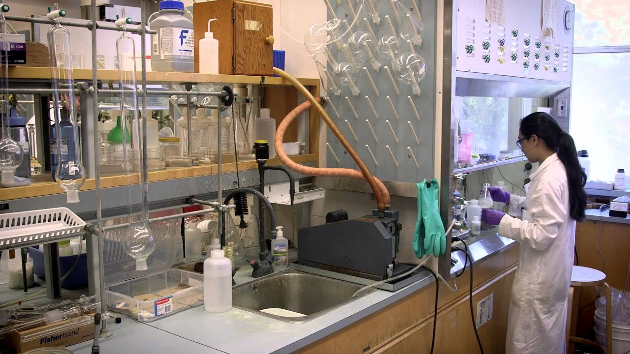 UBC Killam Video Profile 2014 Laurel Schafer