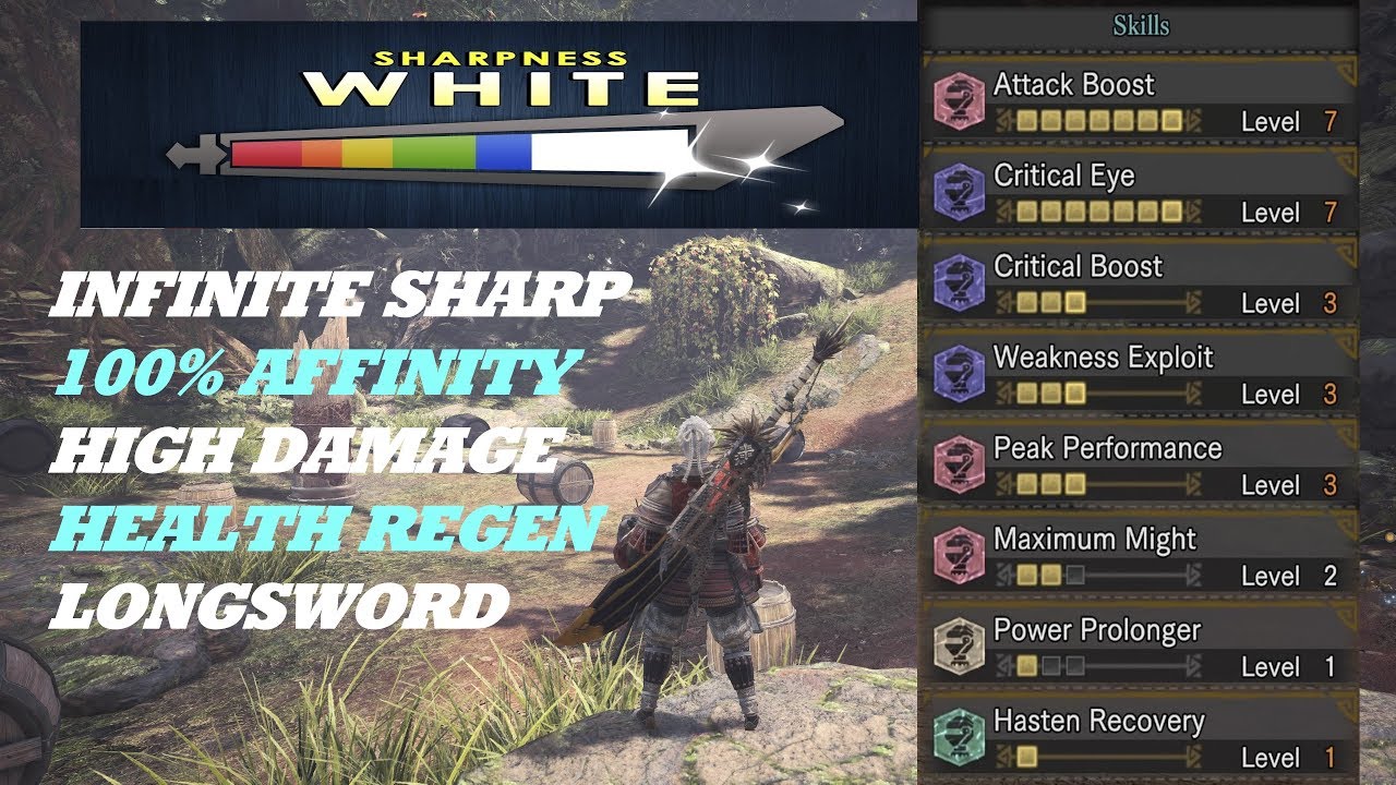 Infinite White sharpness 100% Affinity Monster Hunter World LS Build