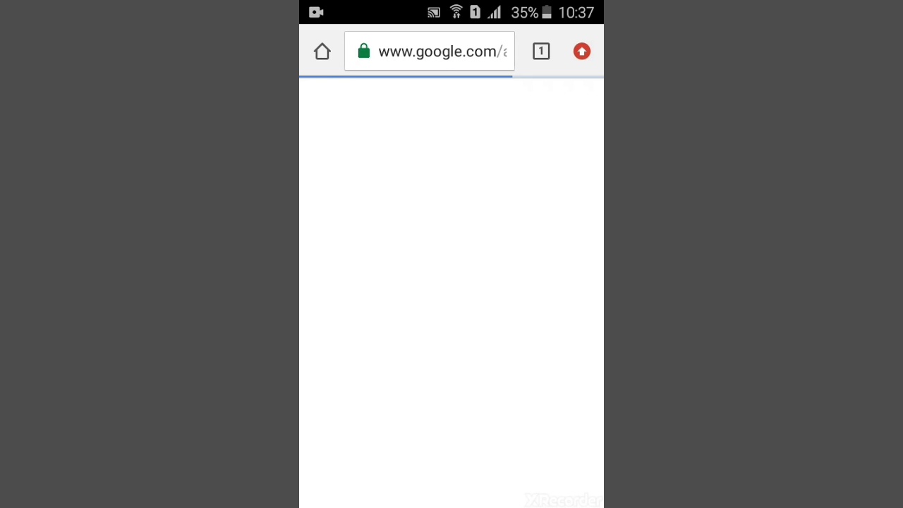 Download cat fishing