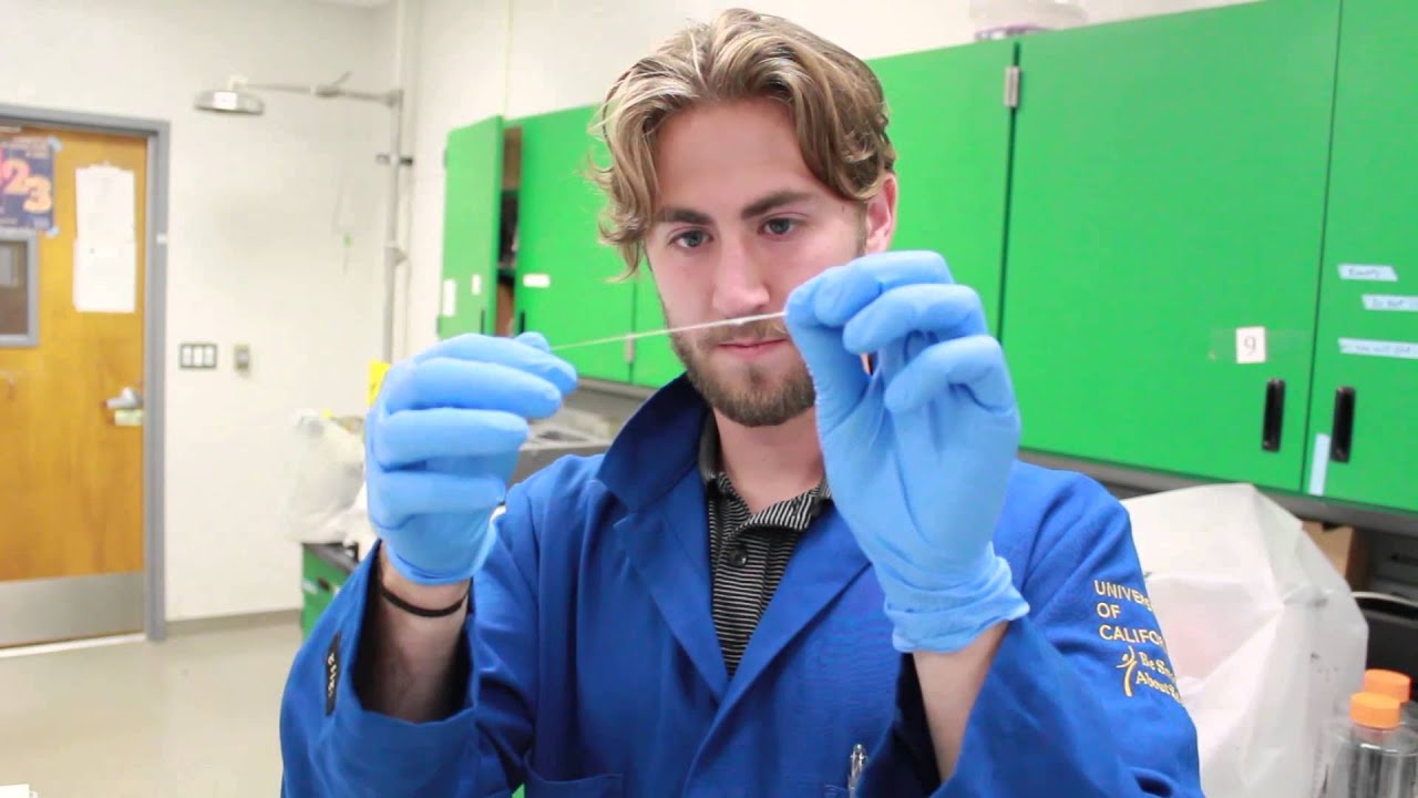 UCLA iGEM 2015