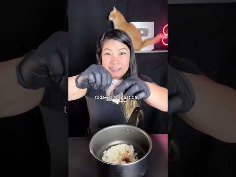 Pancit canton #noodles #food #cats