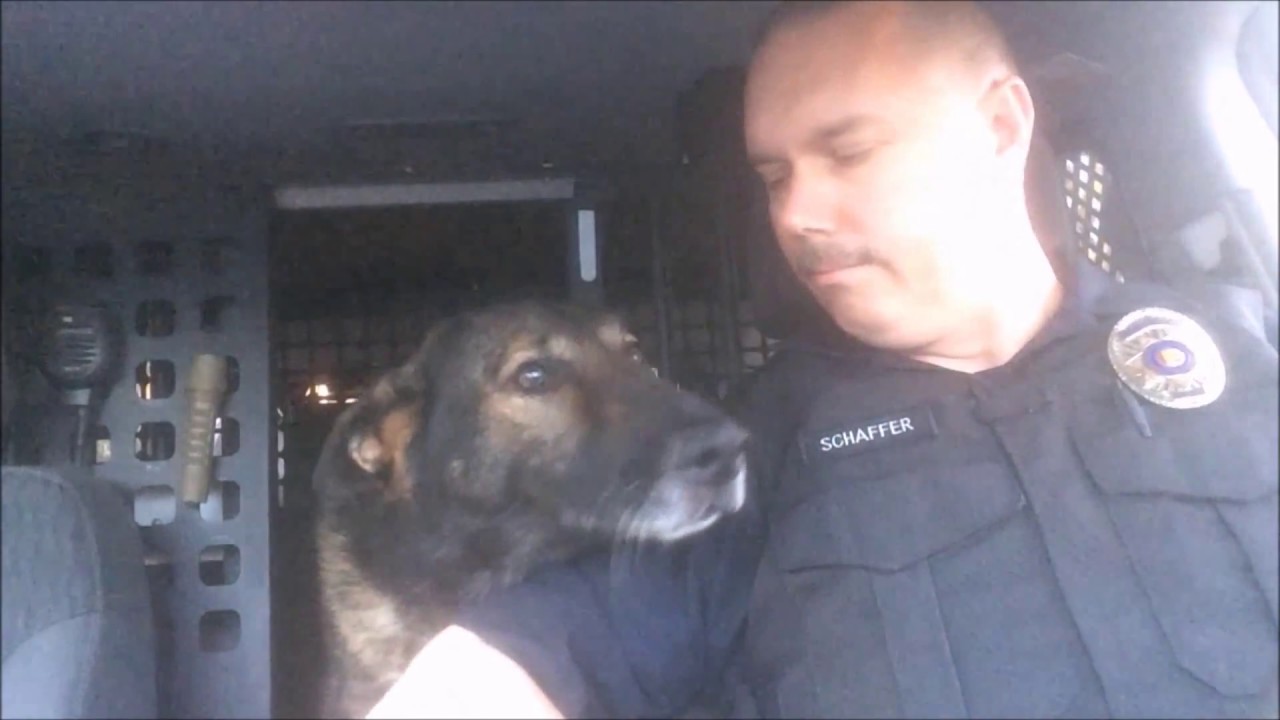 K-9 Officer Faust Honored with Final Radio Call After 8 Years of ...