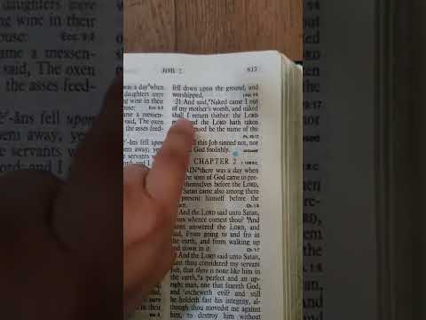 I return Thither the Lord (JOB 1:21)