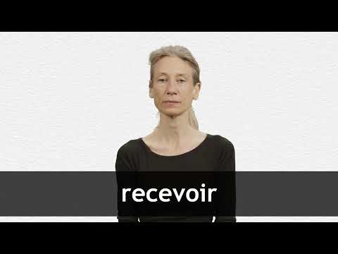 English Translation of “RECEVOIR” | Collins French-English Dictionary