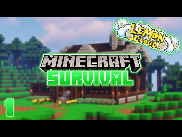 5 best Roleplay servers for Minecraft to join as a beginner