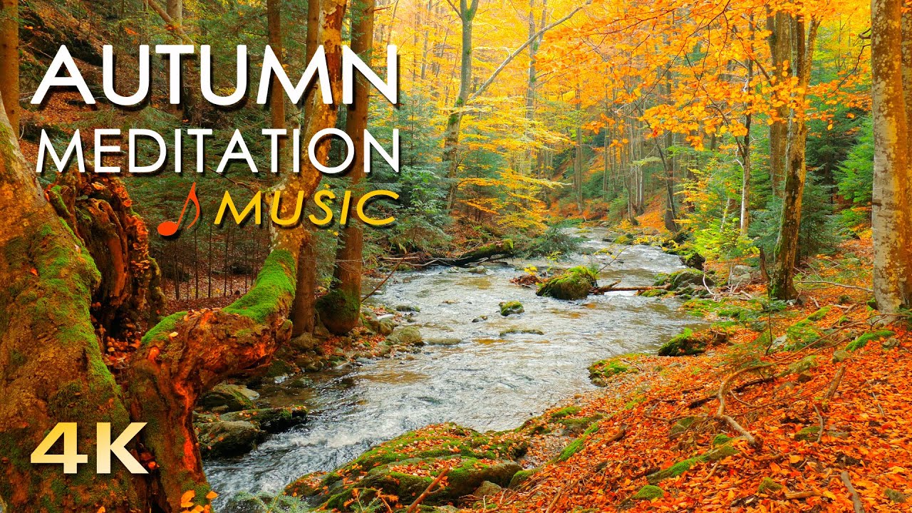 4K Autumn Meditation - UHD Beautiful Nature Video & Relaxing MUSIC - Forest River Sounds - 1h 2160p