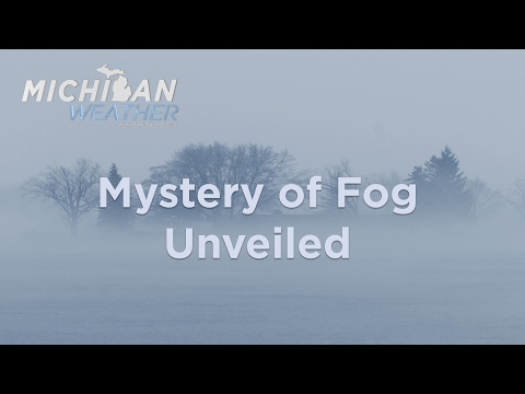 Mystery of Fog Unveiled - Why Weather