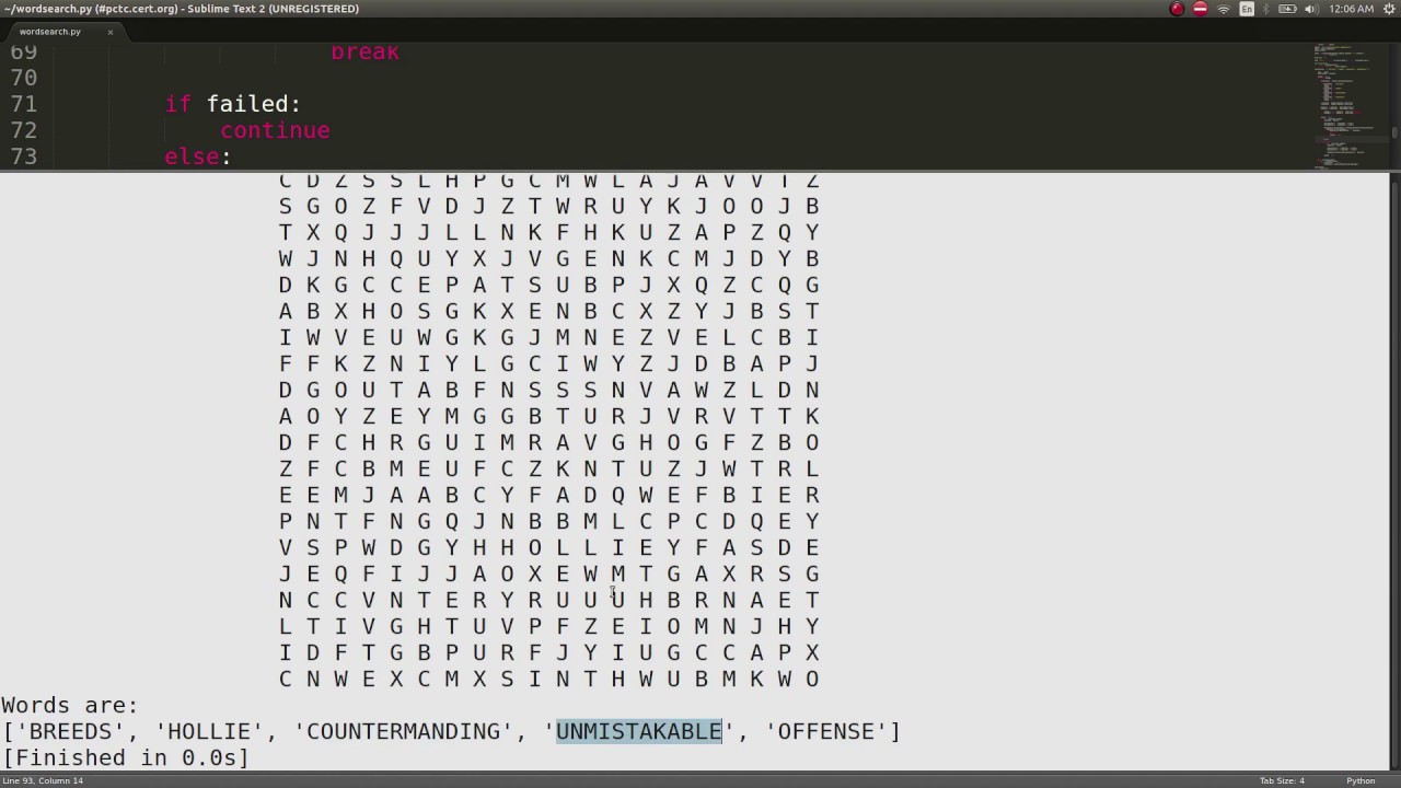 QUICK Python Wordsearch Generator