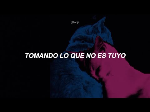 ~°𝓐𝓶𝓸𝓻 𝓛𝓪𝓫𝓸𝓻𝓪𝓵°~ // 𝟏𝓧𝓓𝓞𝓔 - Conociéndonos mejor...:II - Wattpad