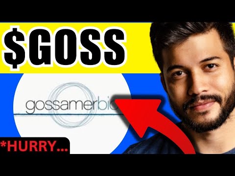 GOSS Stock MASSIVE UPDATE! (targets and alerts) GOSS stock best stock trading brokers reviews