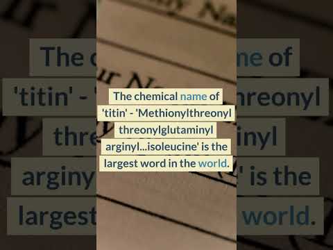The Longest Word in the World: Explained