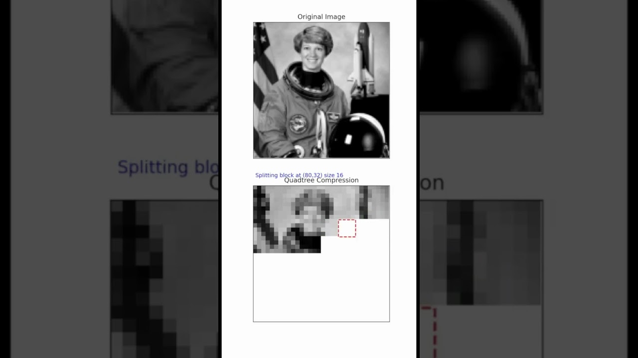 How Computers Compress Images with Quadtree Algorithm! 🤯📦 #coding #computer #compressor #algorithm