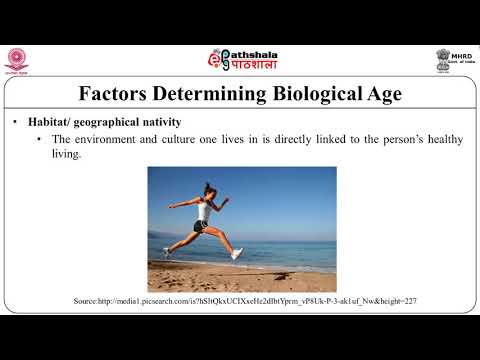 Concept of biological age and its relevance in human studies