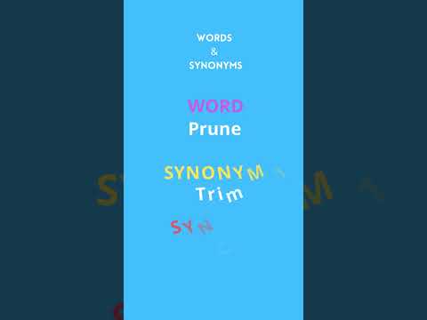 English Words & Synonyms - Starting with the letter P - Part 12